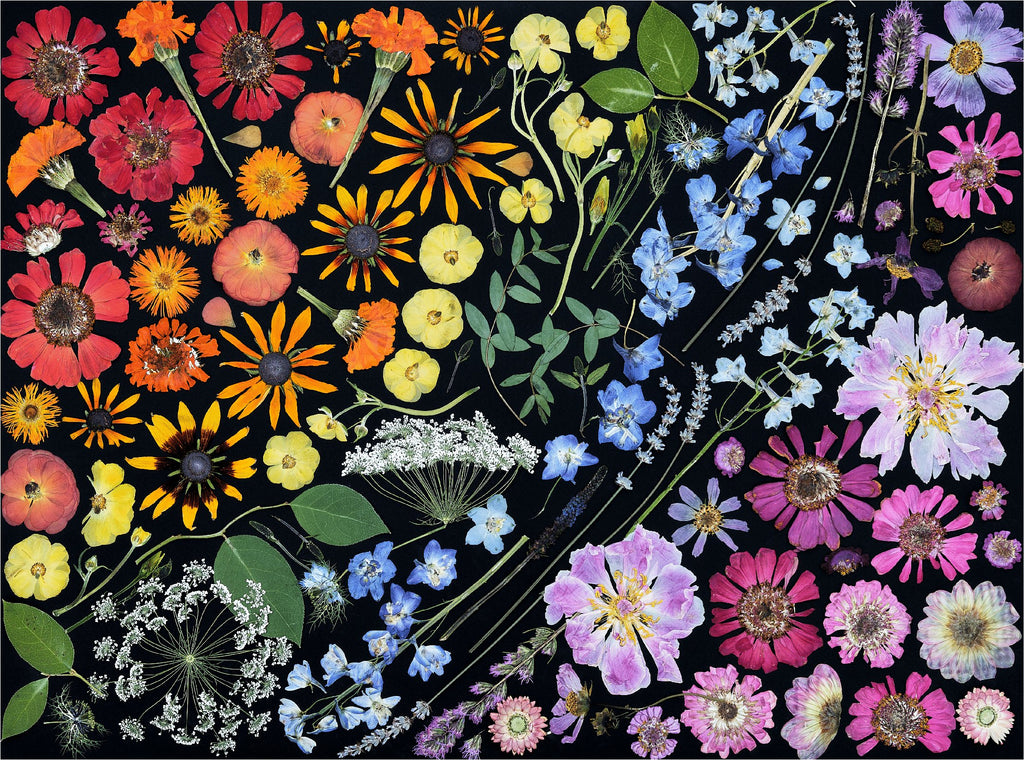 Contemporary Jigsaw Puzzles | Nautilus Puzzles