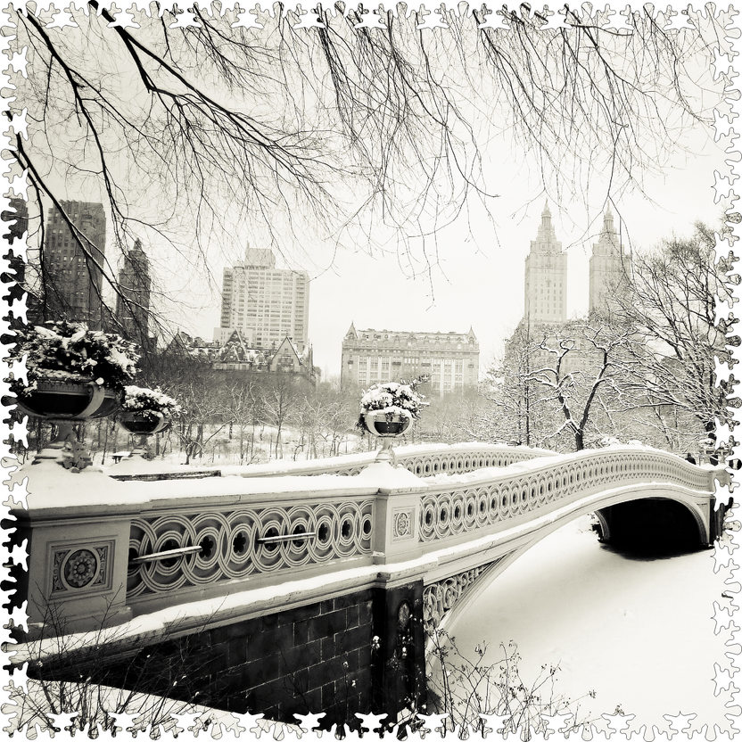 Winter's Touch - Central Park (407 Piece Wooden Jigsaw Puzzle) Extra D ...