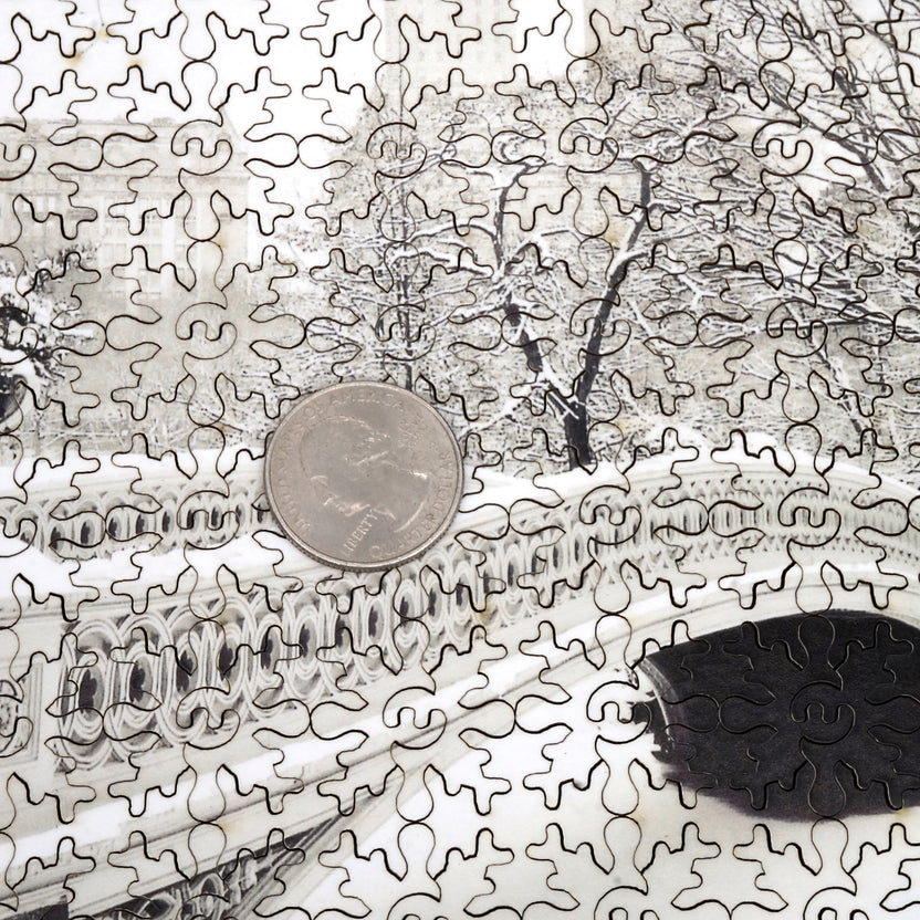 Winter's Touch - Central Park (407 Piece Wooden Jigsaw Puzzle) Extra D ...