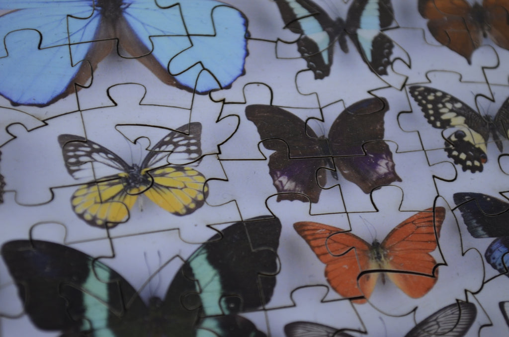 Butterfly Collection | Mini Wooden Butterfly Puzzle