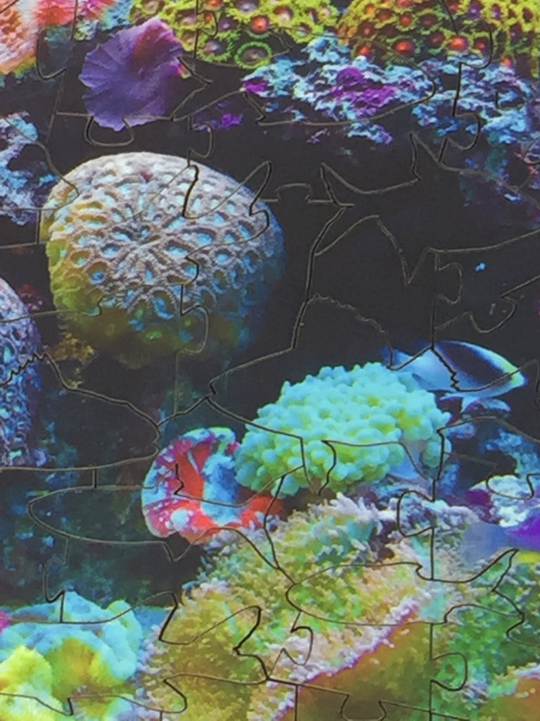 Coral Reef (51 Piece Mini Ocean Wooden Jigsaw Puzzle)