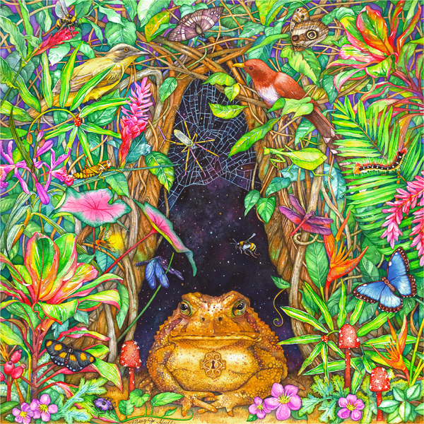 Treasure Box Toad (557 Piece Wooden Jigsaw Puzzle)